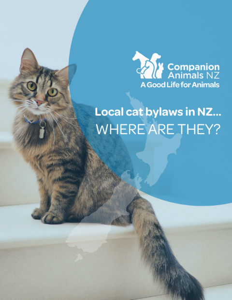NZ Cat Bylaws » Companion Animal Register
